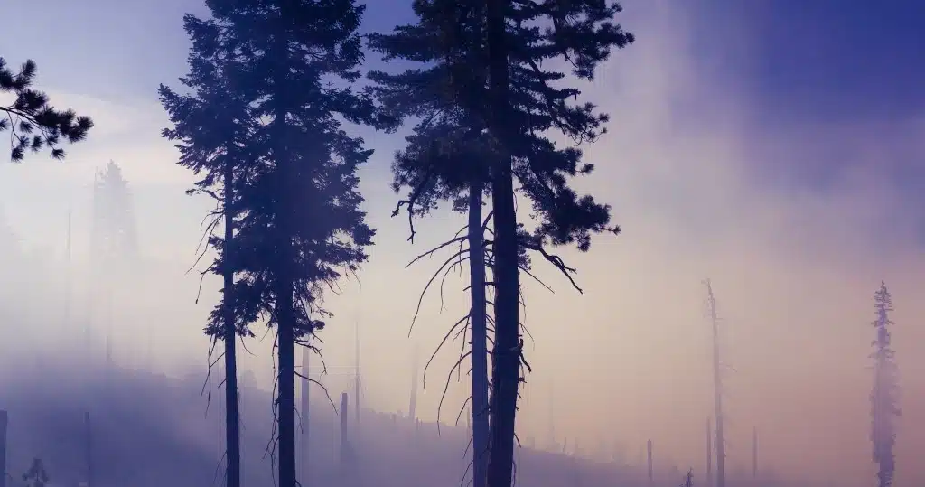 What Does Arson Mean? - Crime and Punishment in the United States