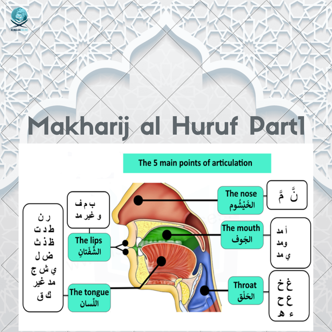 Makharij al Huruf Part( Articulation Points part 1): Tajweed lesson 2 ...