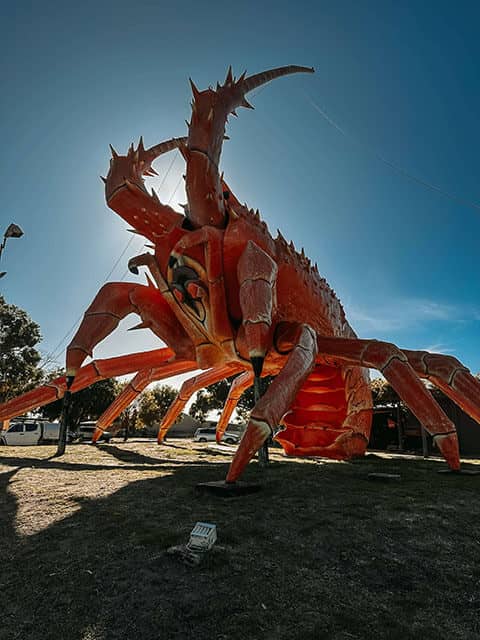 20 Best Things to Do in Robe This 2024