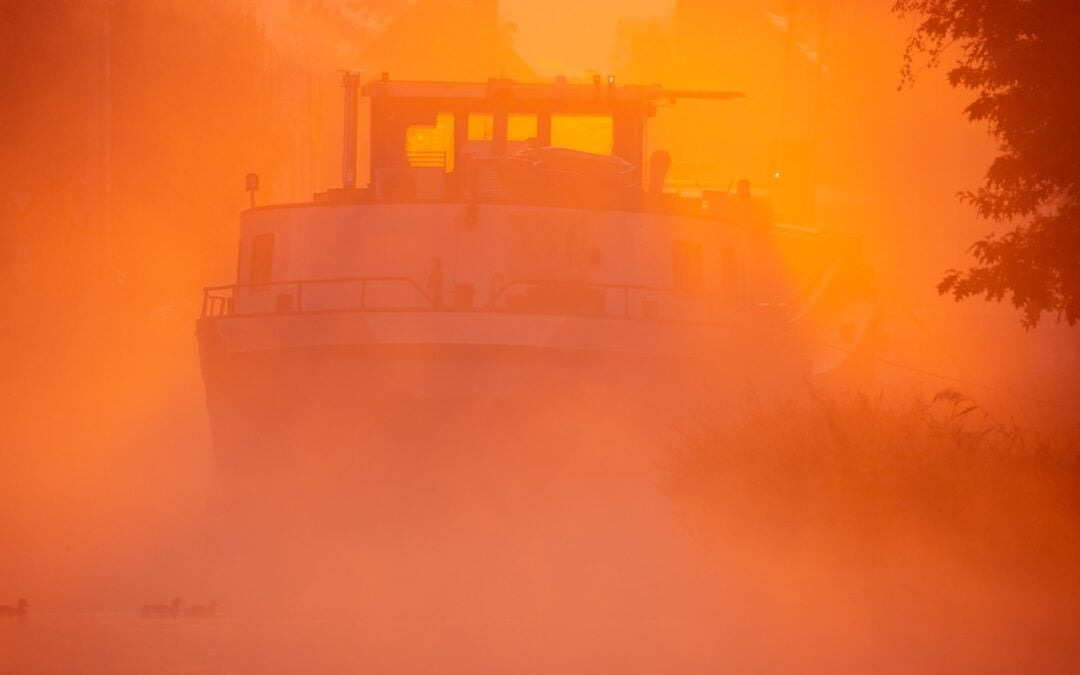 Canon RF 800 F11 Lens Review: Photographer's Perspective - Bjorn's Blog