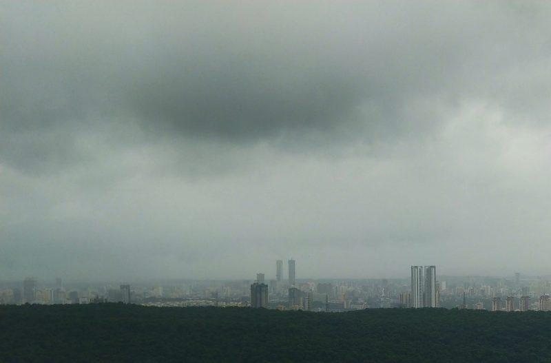 Complete Guide to Sanjay Gandhi National Park