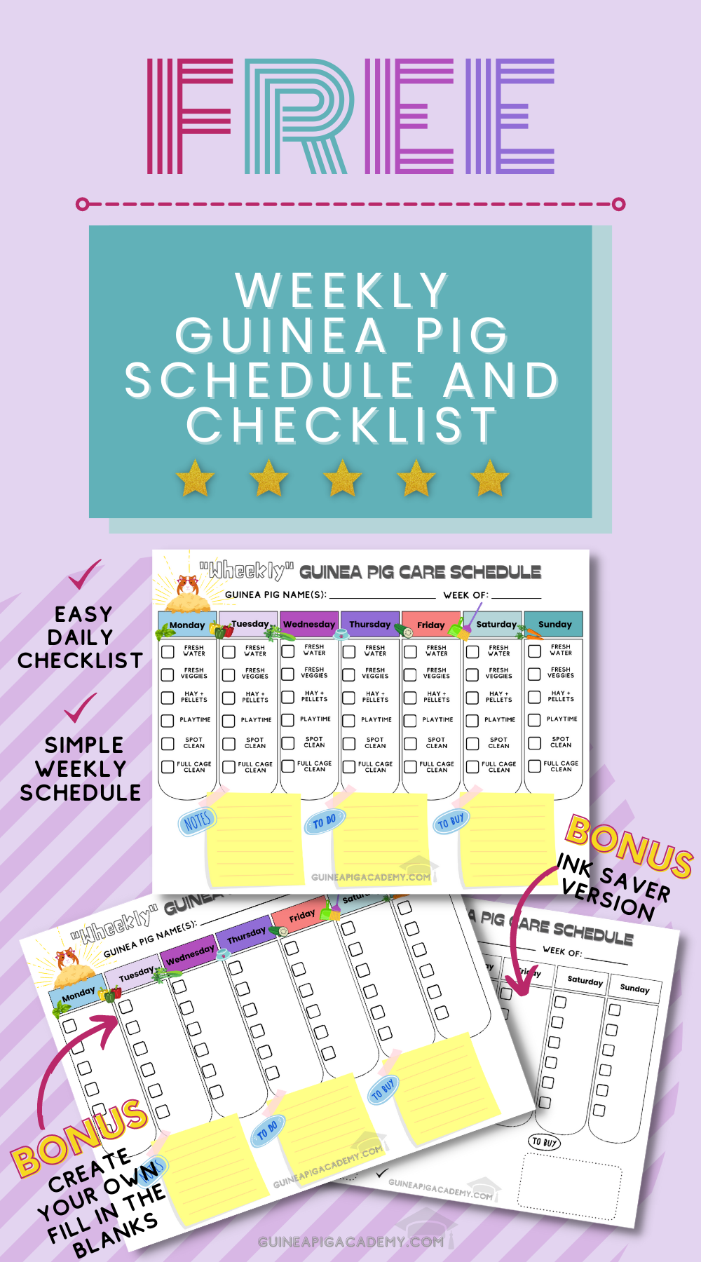 What Do Guinea Pigs Eat? Dangerous Guinea Pig Feeding Mistakes to Avoid ...