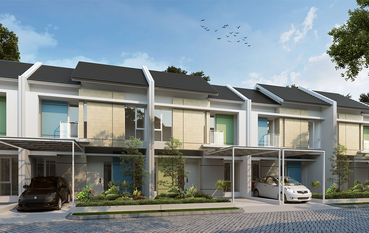 Albasia - Damai Putra