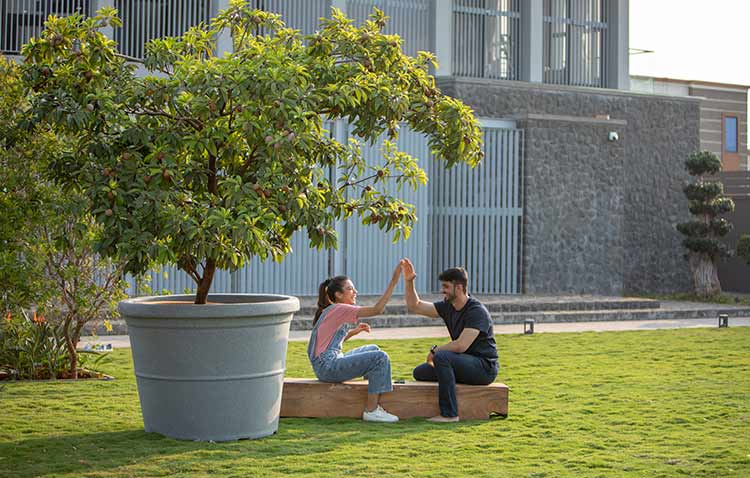 Indoor Outdoor Planter for Home and Gardens | Harshdeep India