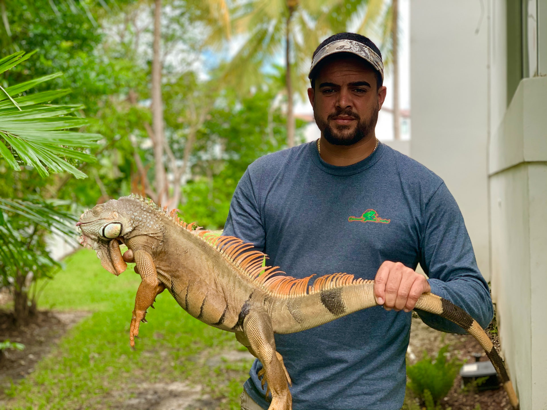 Iguana Removal Services