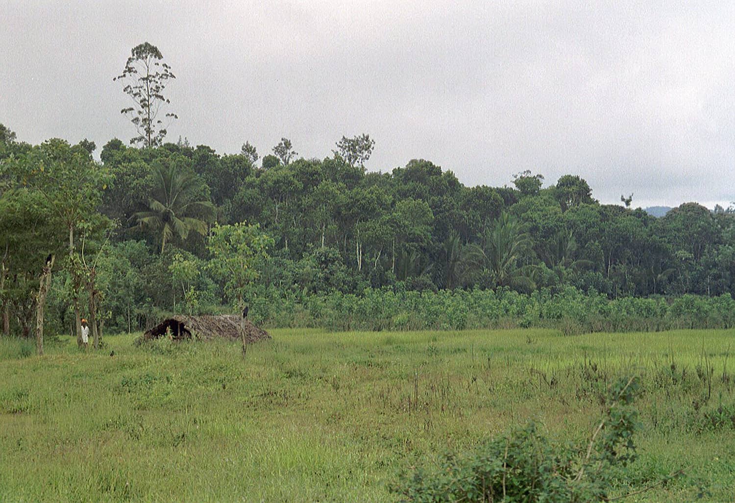 Trip to Periyar Wildlife Sanctuary - Meanwhile in Thailand