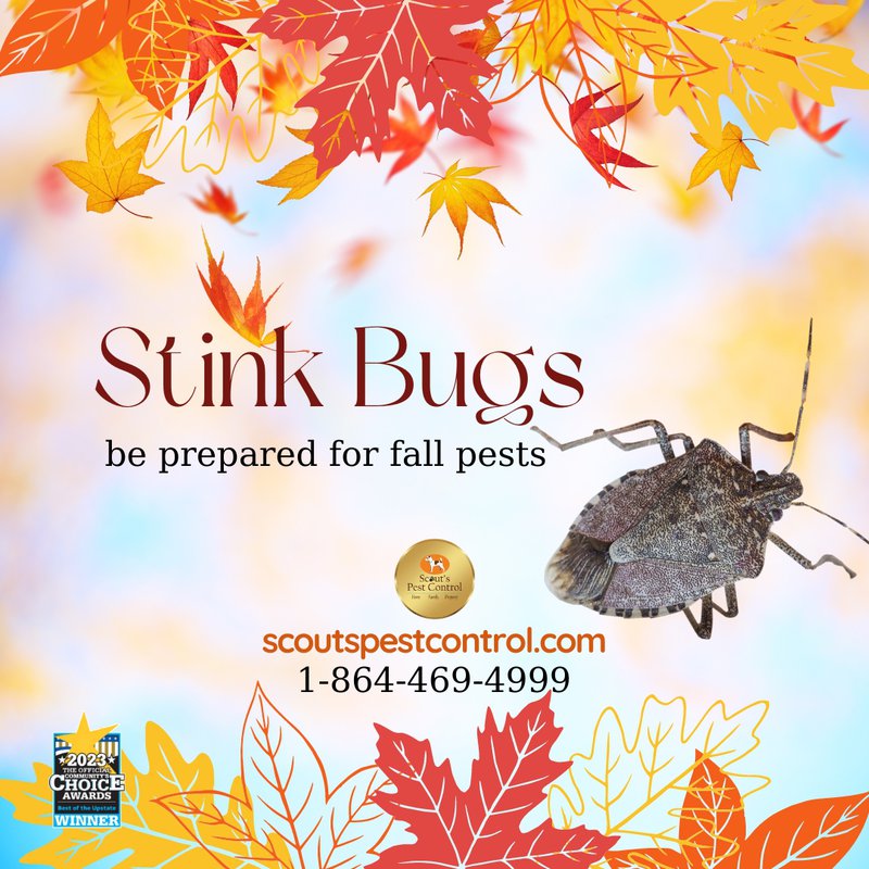 Fall Pests in South Carolina: Your Guide to a Pest-Free Home