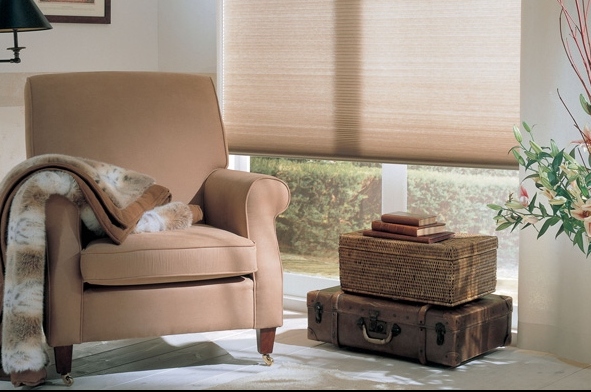 ThermoFlex Blinds: Ultimate Energy Efficiency for Your Windows