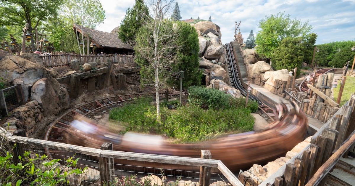 Disney World Thrill Rides for Differently-Abled Guests - WDW Magazine