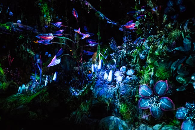 Passage Through Pandora: 4 Na’vi River Journey Facts - WDW Magazine