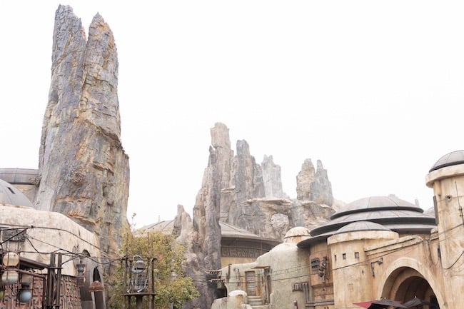 REVIEW: Ronto-less Garden Wrap | Eating Vegan at Disneyland