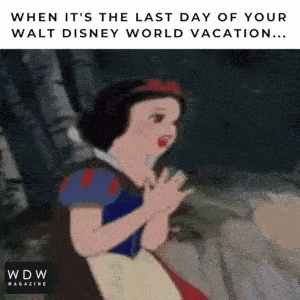 Funny Disney GIFs That Bring The Laughs - WDW Magazine