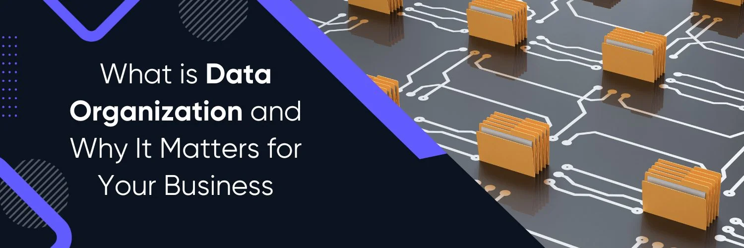 What is Data Organization and Why It Matters for Your Business